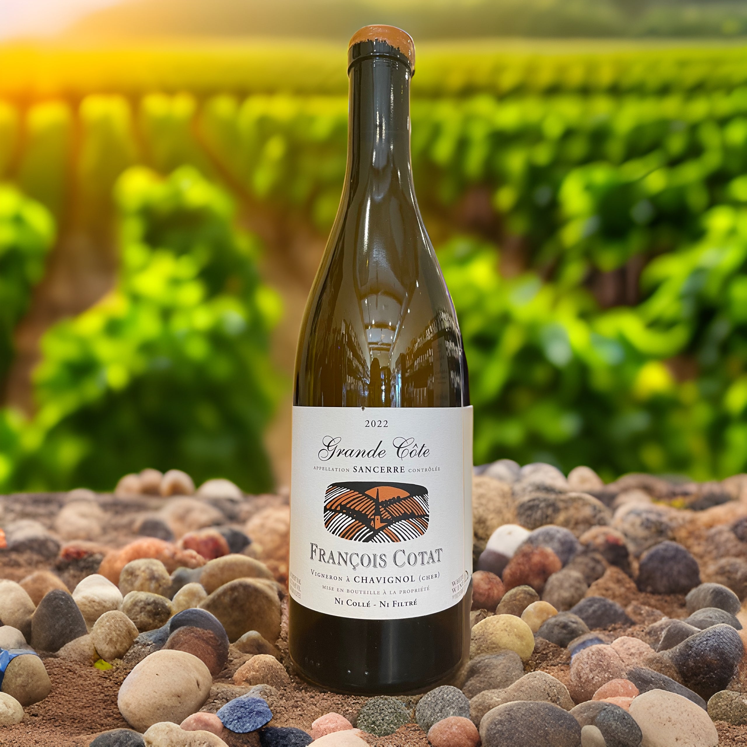 Domaine Francois Cotat 2022 La Grande Cote | hyphen-