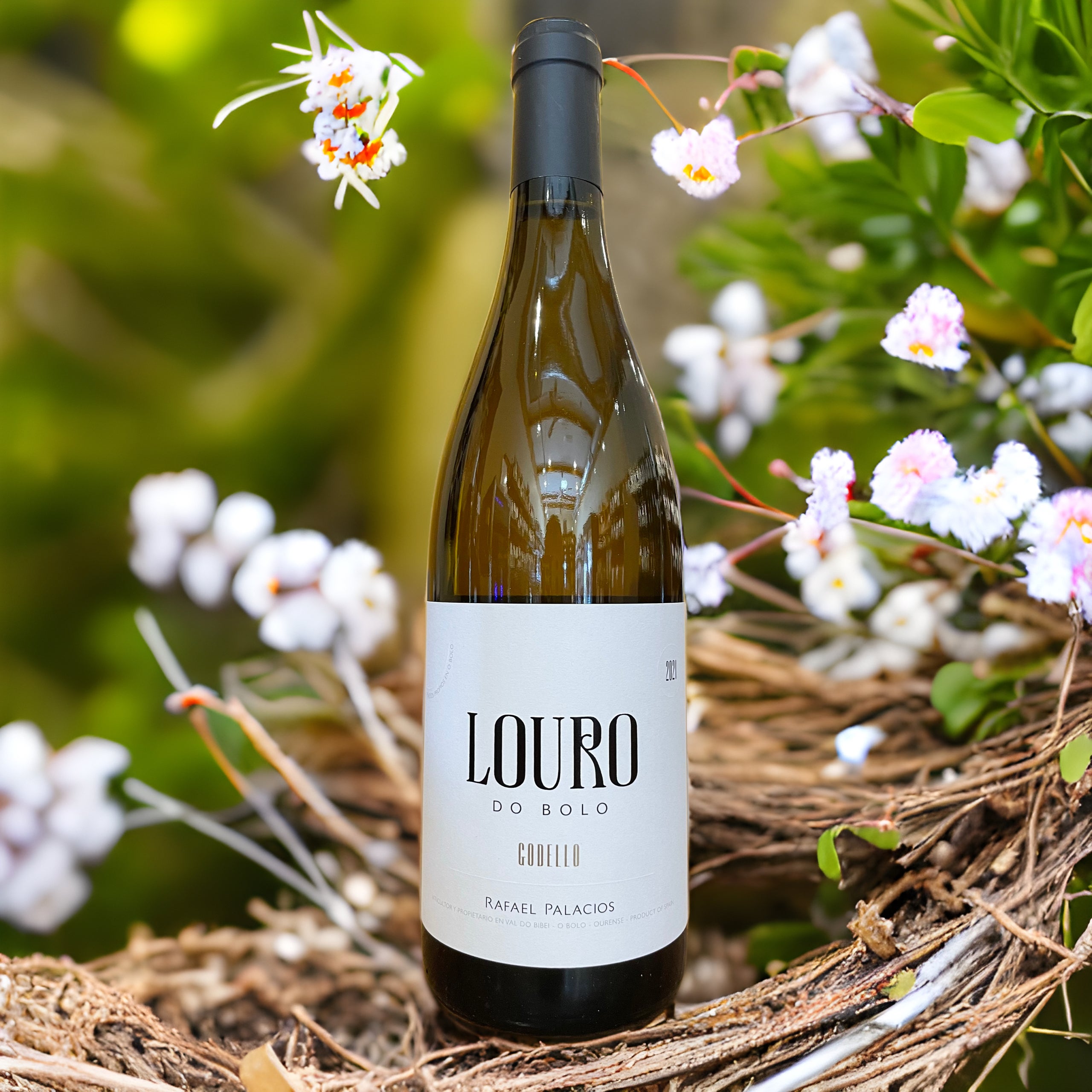 Rafael Palacios 2022 Louro do Bolo Godello | hyphen-