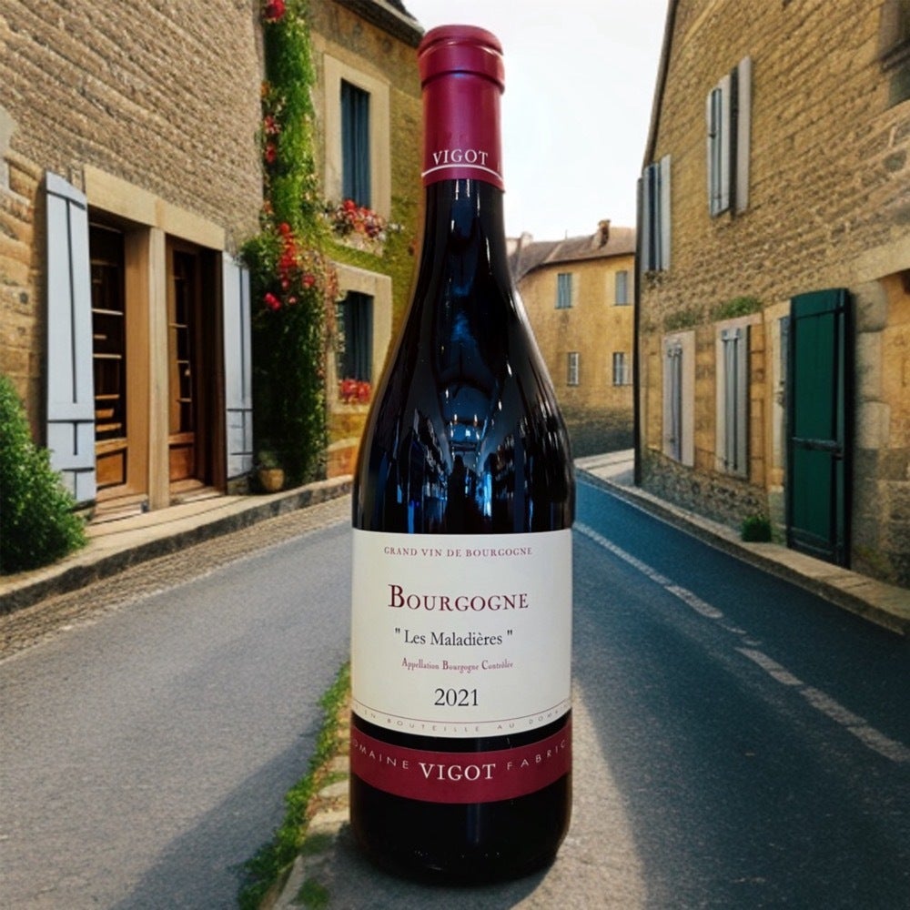 Domaine Vigot 2021 Bourgogne Rouge Les Maladieres | hyphen-